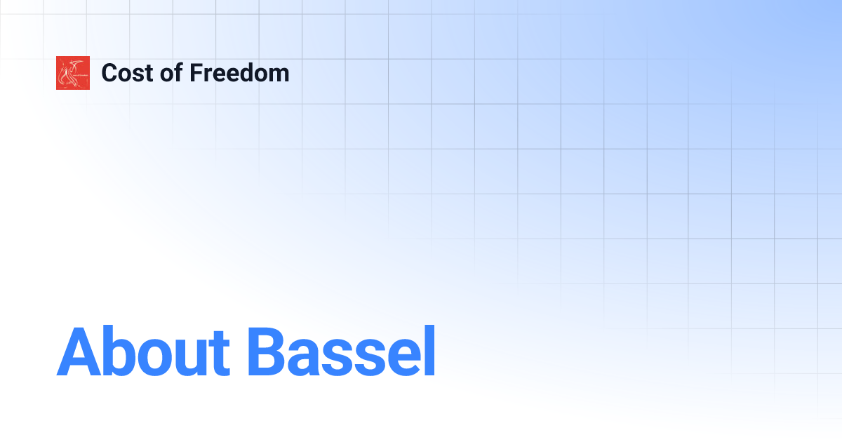About Bassel | Cost of Freedom